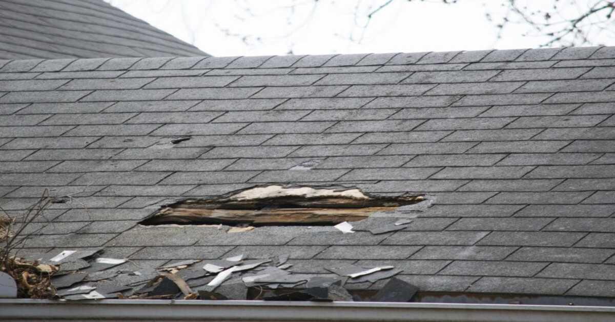 7 Warning Signs on Your Roof or Gutters: What Homeowners Should Be ...
