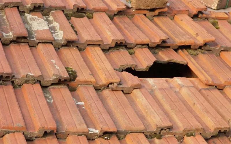 Signs Your Roof Needs Repairs - Roof Ranger